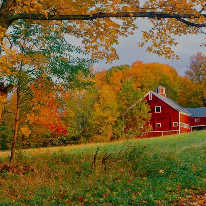 Bissell Maple Farm Partner Spotlight | Pappy & Company